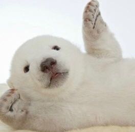 FEIFEI Blog | 菲菲的博客